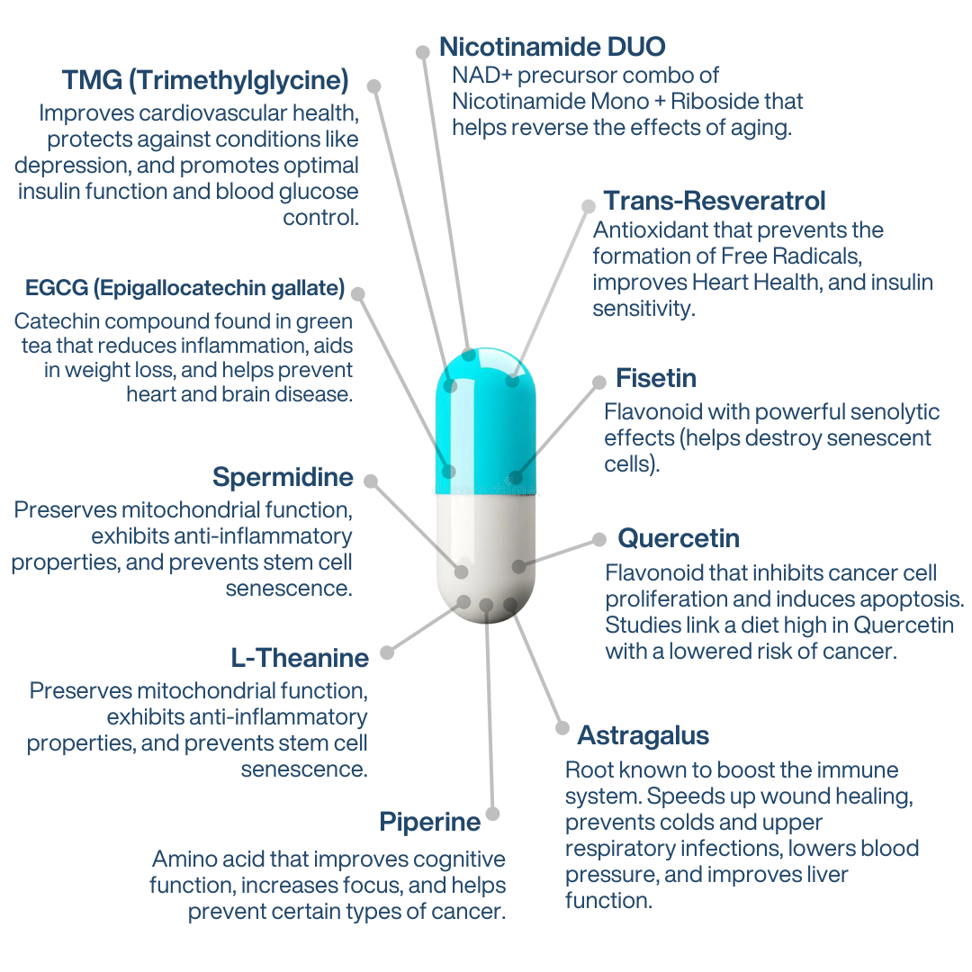 Anti-Aging Supplement NAD+ Complex AEON with Nicotinamide, Fisetin ...